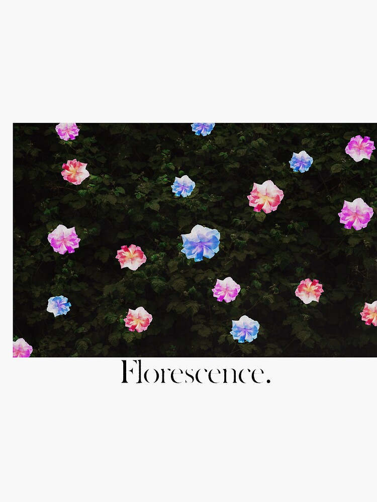 "Florescence" Sticker for Sale by PolygonPop | Redbubble