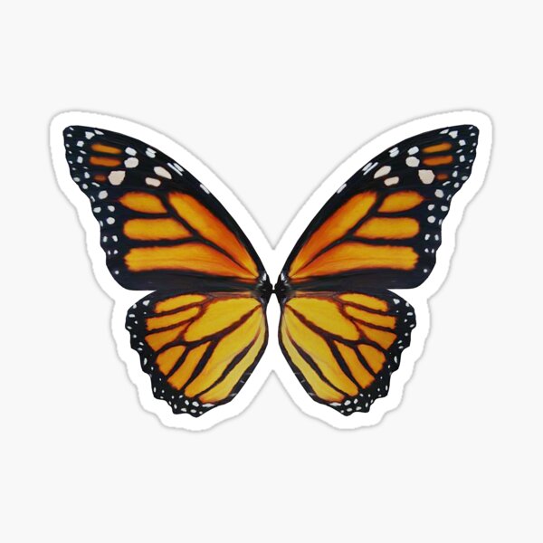 "Butterfly Wings" Sticker for Sale by This-Happened | Redbubble