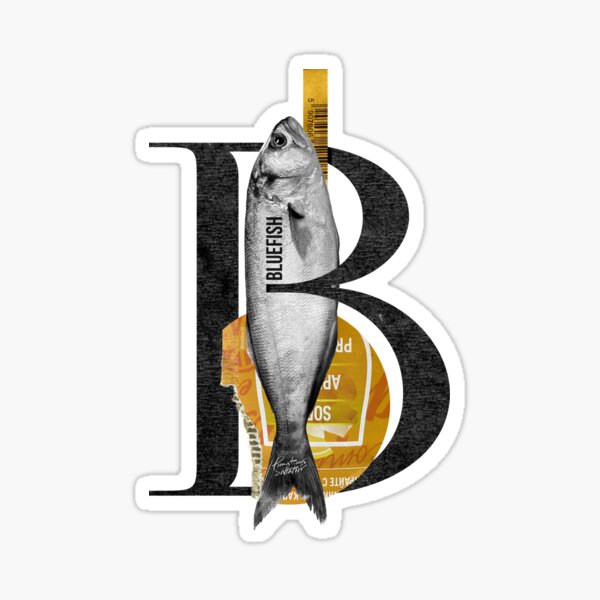 "Bluefish collage" Sticker for Sale by burbuja | Redbubble