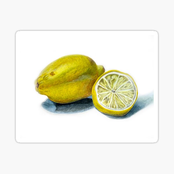 "Colored Pencil Lemon" Sticker for Sale by LexiKrider | Redbubble