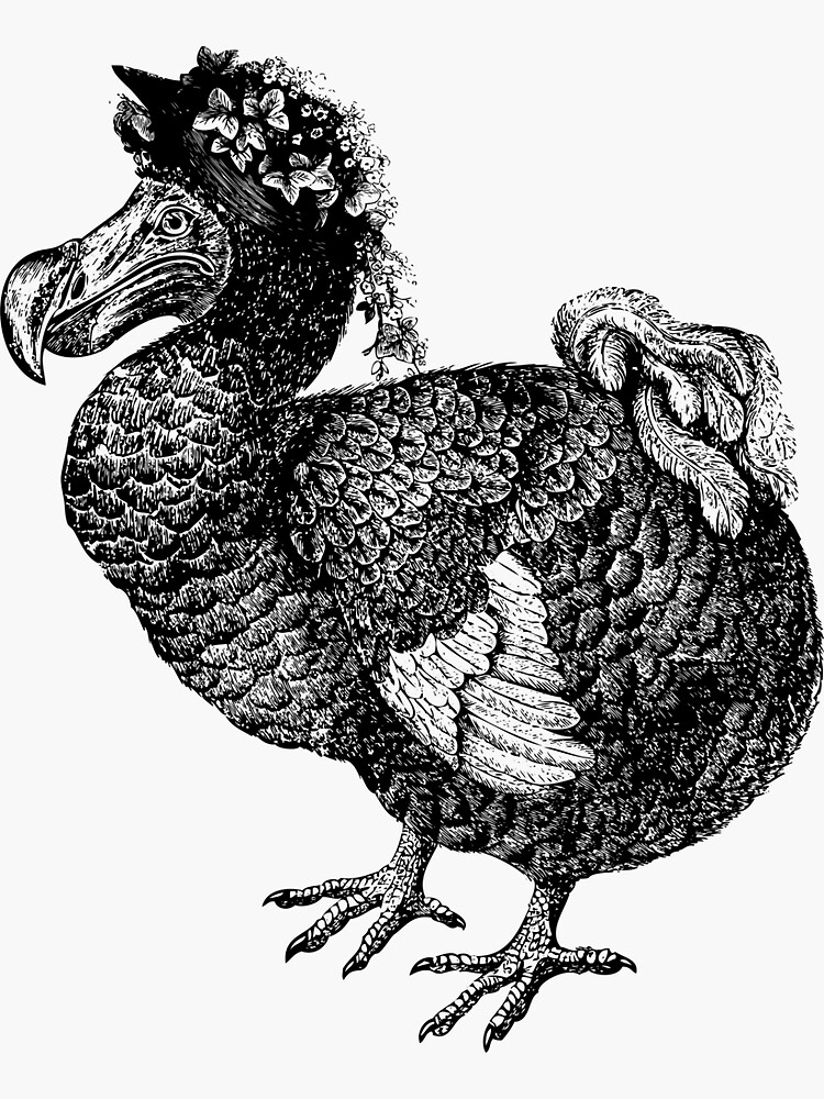 "Mrs Dodo | Vintage Dodos | Black and White | " Sticker by ...