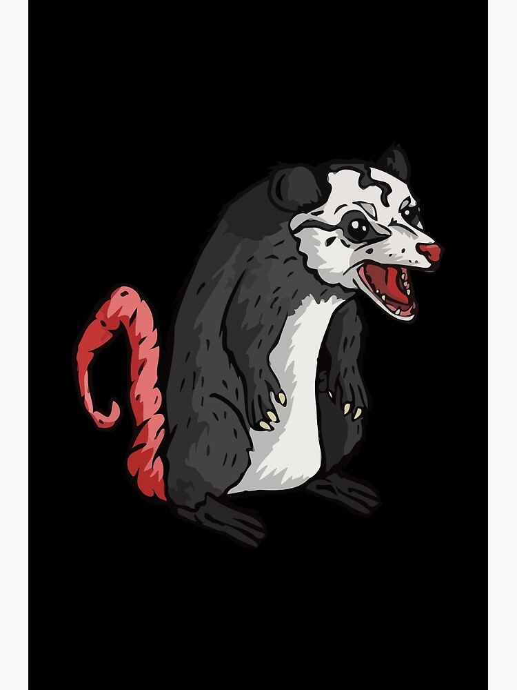 "Angry possum" Poster for Sale by zaher97 | Redbubble