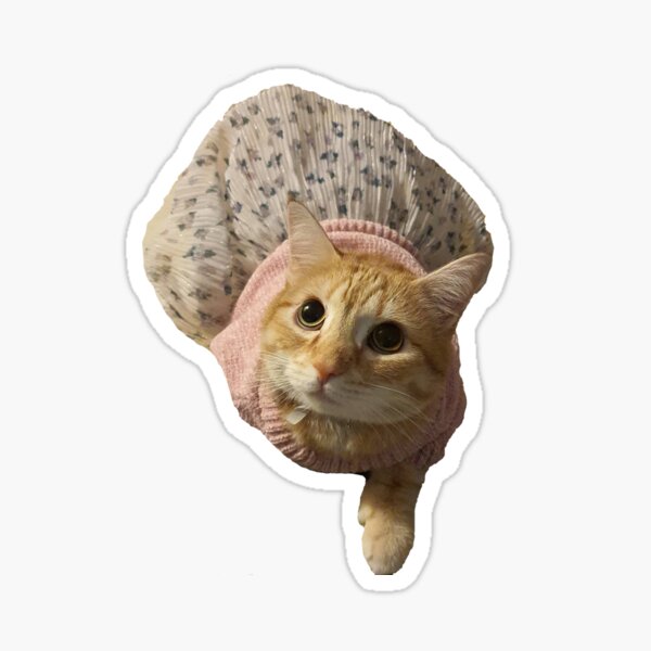 "Fancy Nancy " Sticker for Sale by Sageu13 | Redbubble