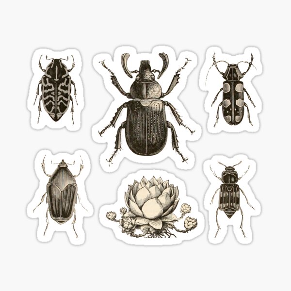 "BEETLE BUGS Sticker Pack" Sticker for Sale by elevens | Redbubble