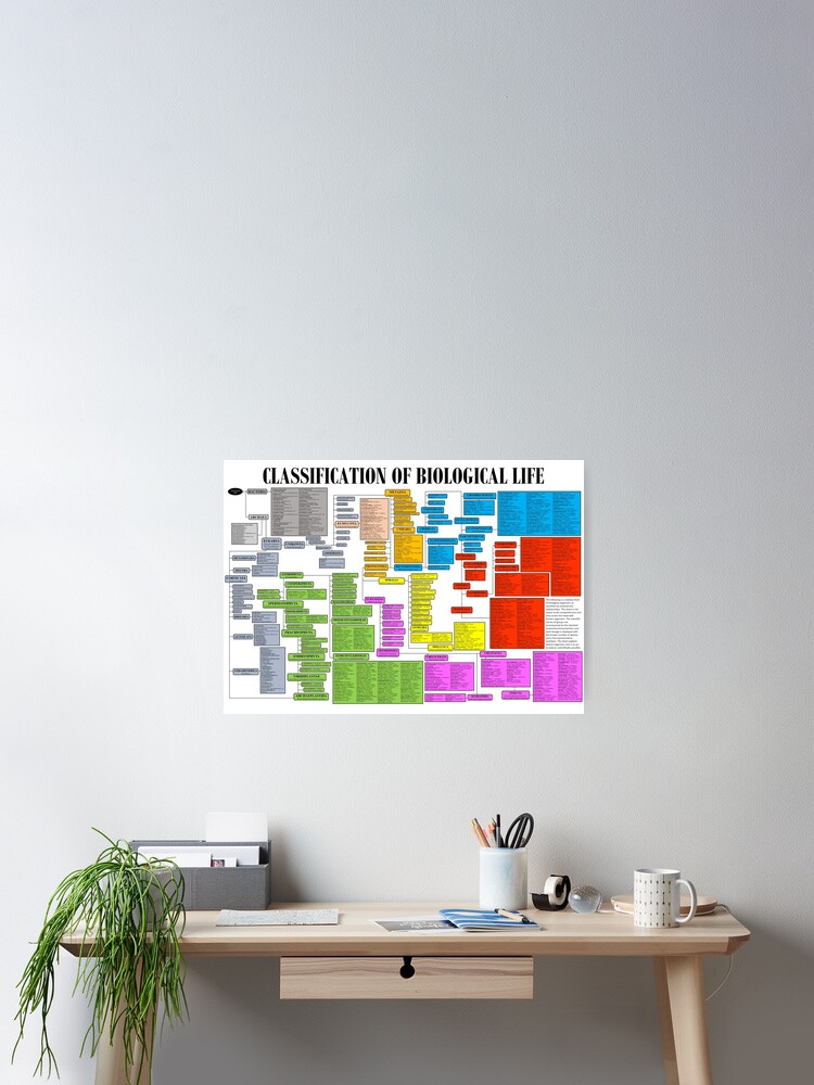 "Classification of Biological Life Poster" Poster for Sale by ...