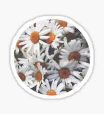 Cute Tumblr: Stickers | Redbubble