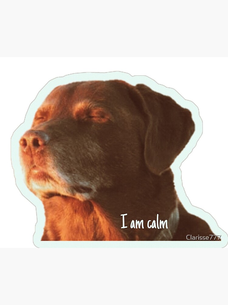 "dog meme "I am Calm"" Photographic Print for Sale by Clarisse777 ...