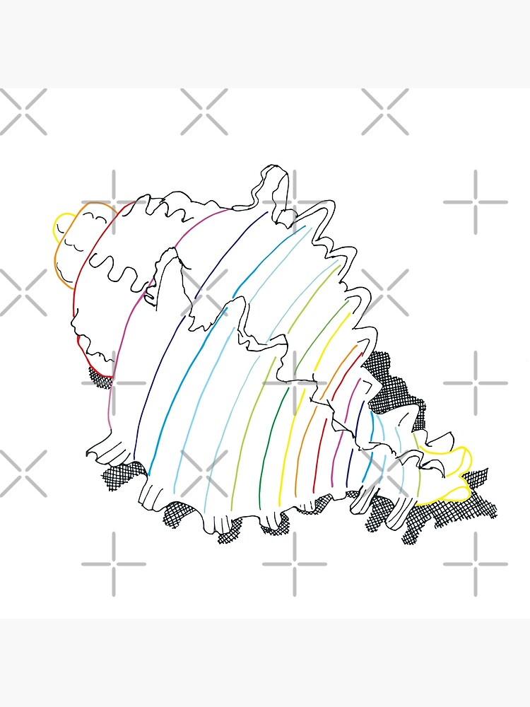 "Rainbow Conch Sea Shell Fine Line Art Pen Drawing" Poster by ...