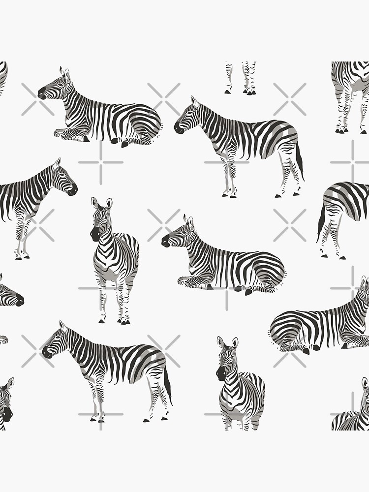 "Random Zebra Poses Pattern" Sticker for Sale by TheWildFlix | Redbubble