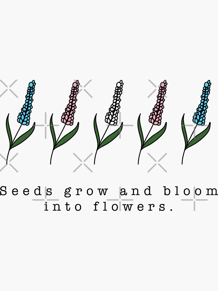 "Subtle Trans flag and flower design." Sticker for Sale by empathy ...