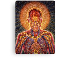 Alex Grey: Canvas Prints | Redbubble