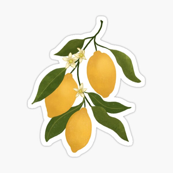 "Lemon citrus" Sticker by theschmolly | Redbubble