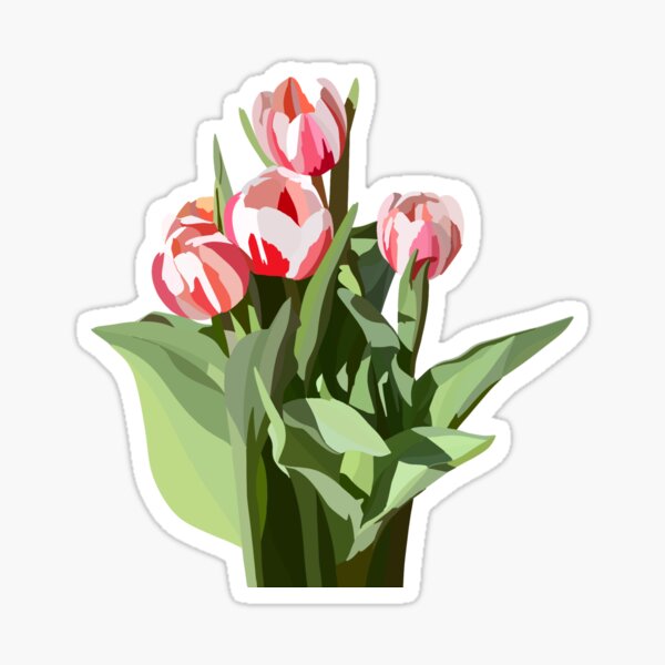 "Tulip Bundle Sticker " Sticker by Drawingsbydraz | Redbubble