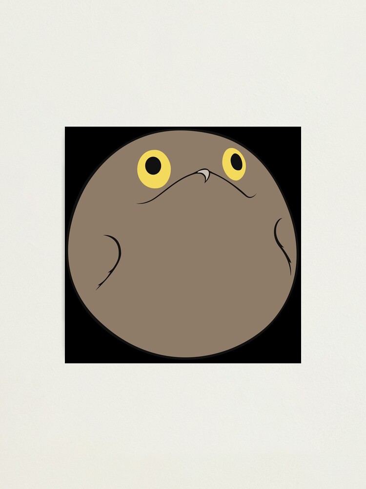 Lámina fotográfica « Potoo de dibujos animados con esos ojos enormes y ...