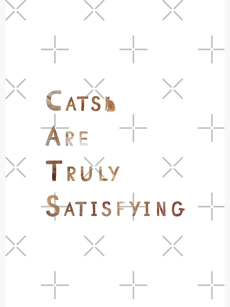 "Acrostic Poems for Cat" Poster for Sale by J4Design | Redbubble