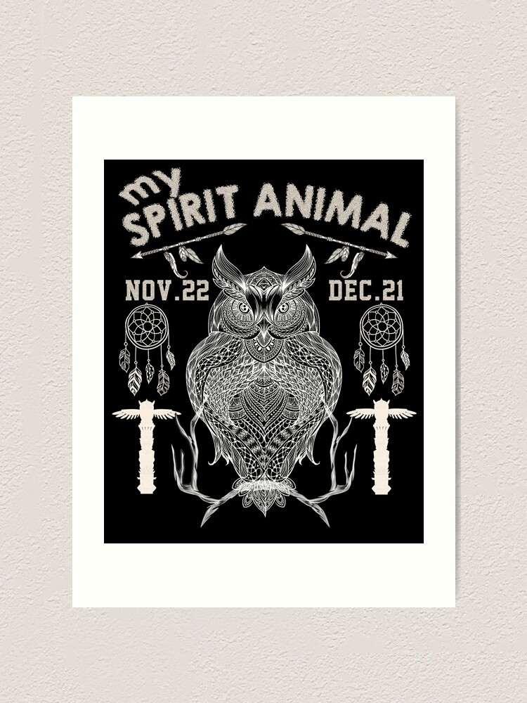 Zodiac owl 60 photos - Astrologytoyou.com