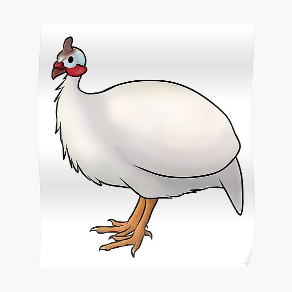 "White Guinea Fowl" Poster for Sale by Clucky-Designs | Redbubble