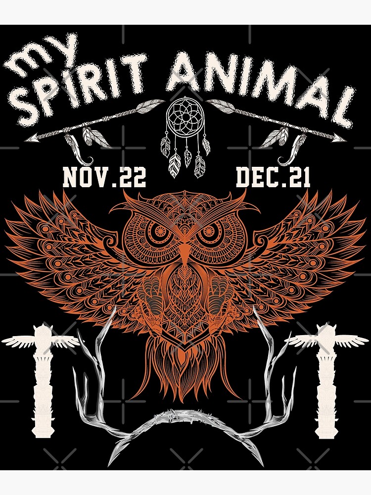 Zodiac owl 60 photos - Astrologytoyou.com