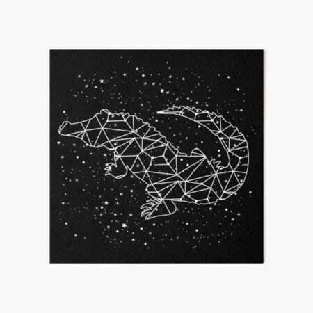 "Crocodile Zodiac Symbol Astrological Sign" Art Board Print for Sale by ...