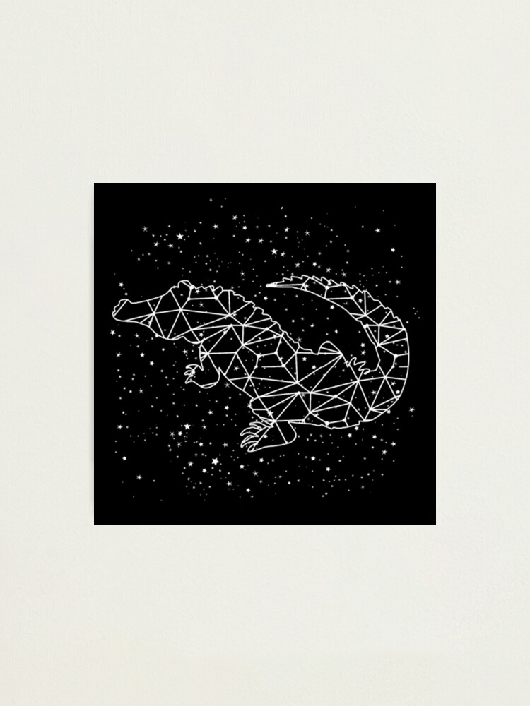 "Crocodile Zodiac Symbol Astrological Sign" Photographic Print for Sale ...