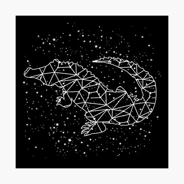 "Crocodile Zodiac Symbol Astrological Sign" Photographic Print for Sale ...