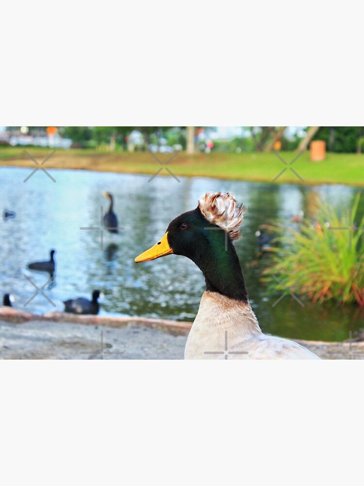 "Afro duck" Poster for Sale by LikeISaid | Redbubble