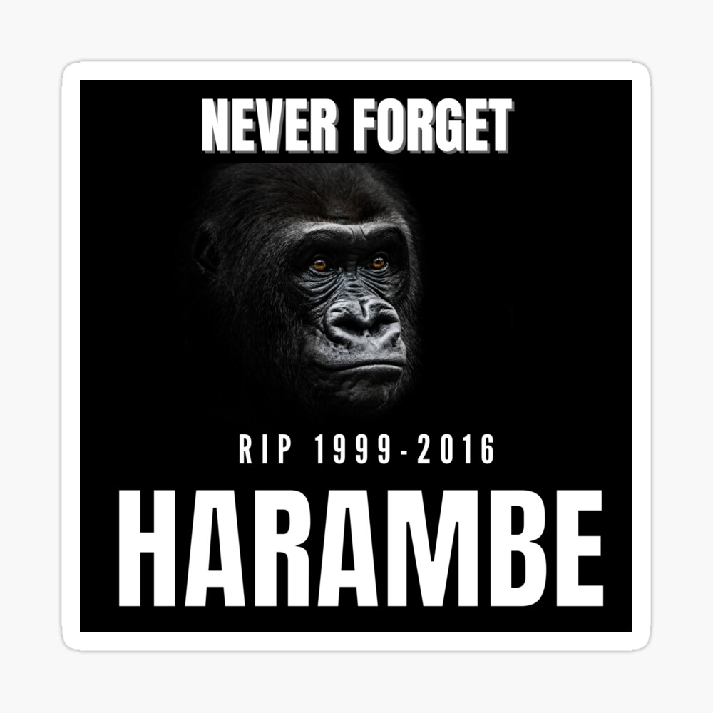 Rip Harambe Wallpaper 1999 2016