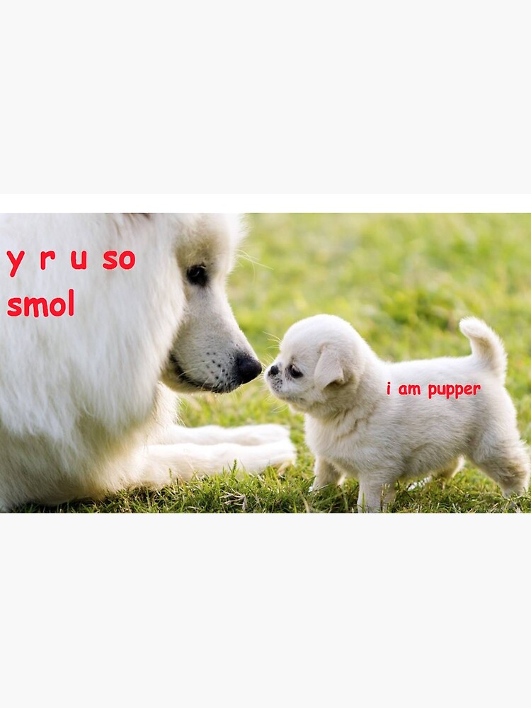 Taza de café «y r u so smol, i am pupper» de pardock | Redbubble