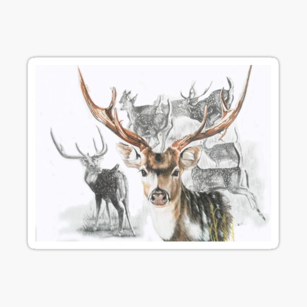 "Axis Deer Collage" Sticker by BarbBarcikKeith | Redbubble