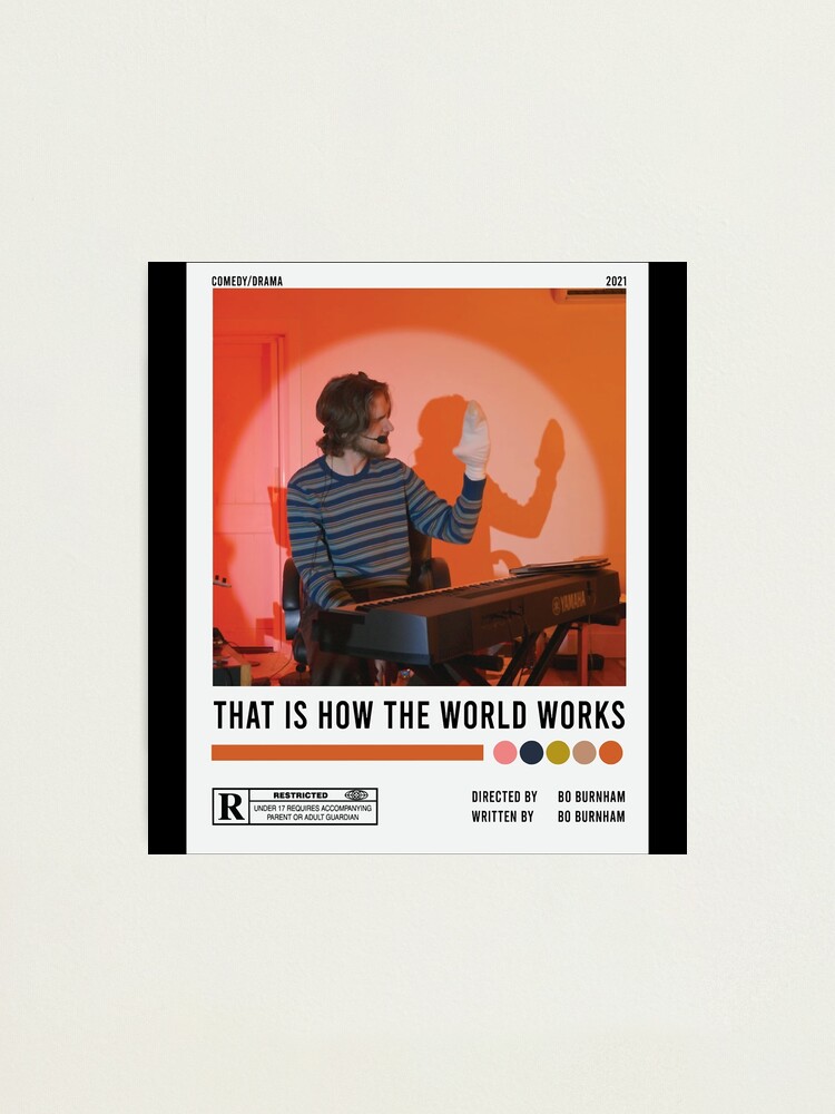 Lámina fotográfica «Póster Bo Burnham Inside Así es como funciona el ...