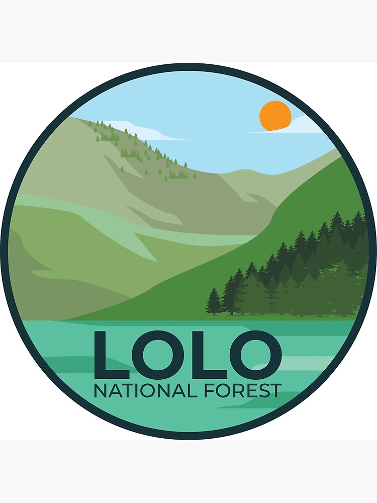 "Lolo National Forest" Poster by park-land | Redbubble