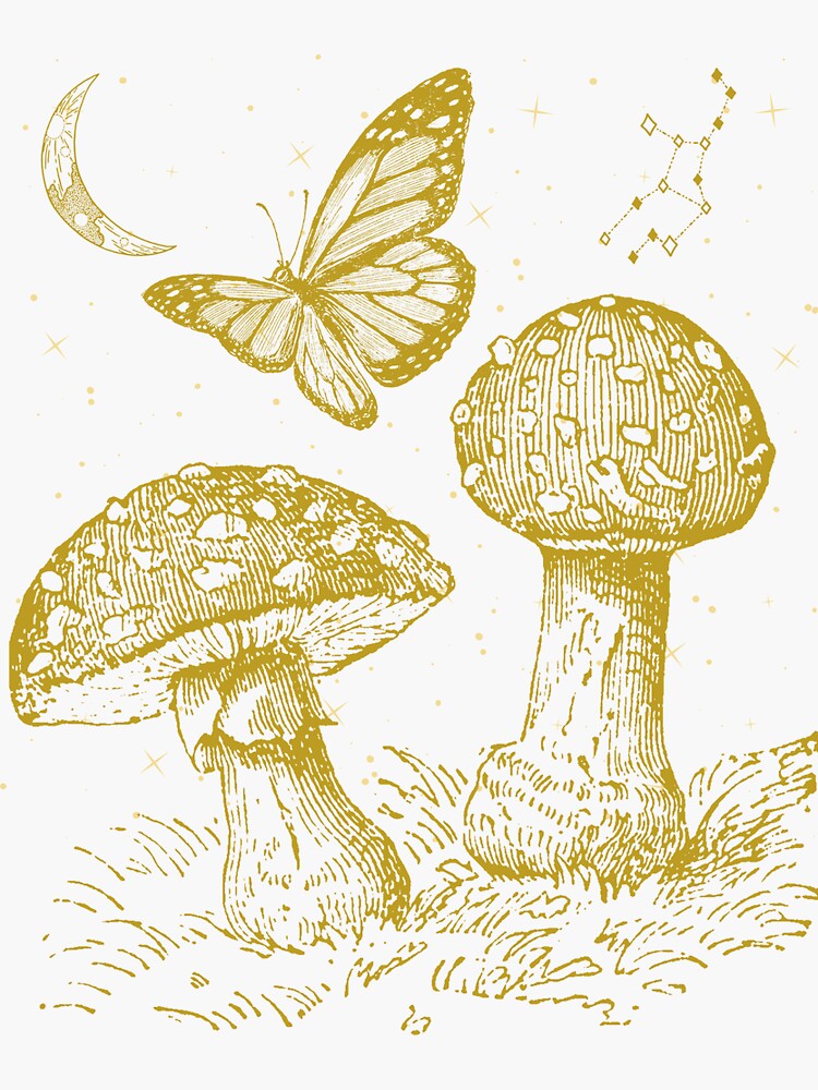 "Goblincore, Non-Binary, Cottagecore Gifts, Dark Academia Clothes ...