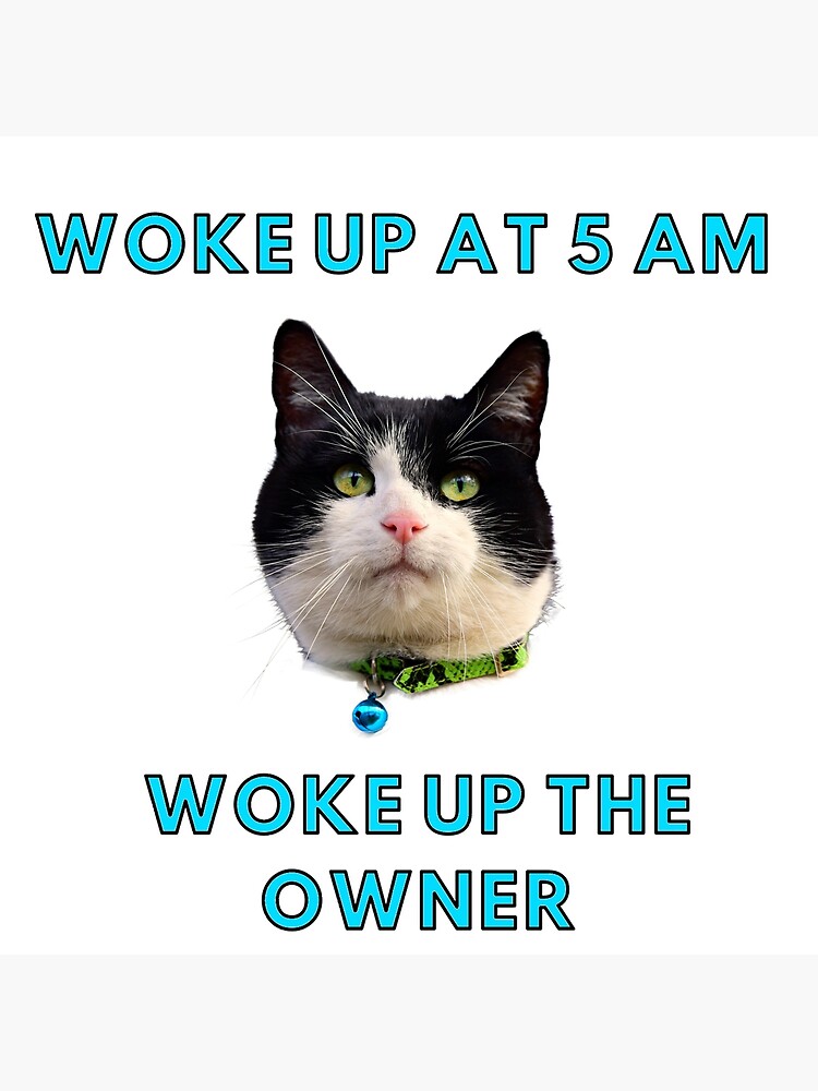 "Hilarious funny cat meme" Poster by Zip-Zup | Redbubble