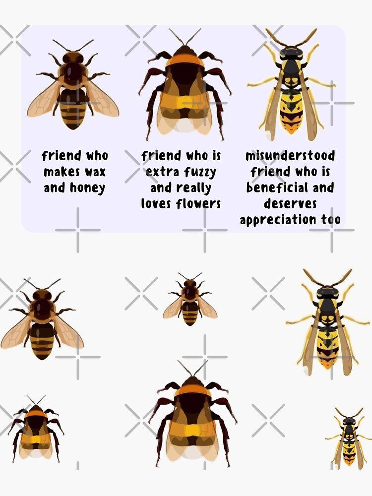 "Know Your Bees Bee And Wasp Chart Pollinators" Sticker for Sale by ...