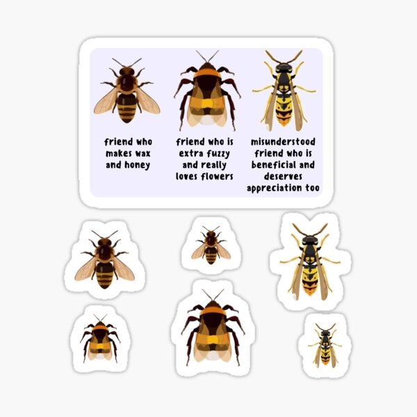 "Know Your Bees Bee And Wasp Chart Pollinators" Sticker for Sale by ...