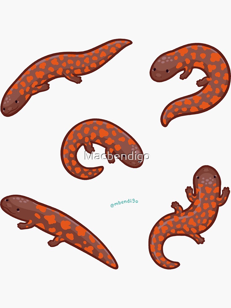 "Hellbender " Sticker for Sale by Macbendigo | Redbubble