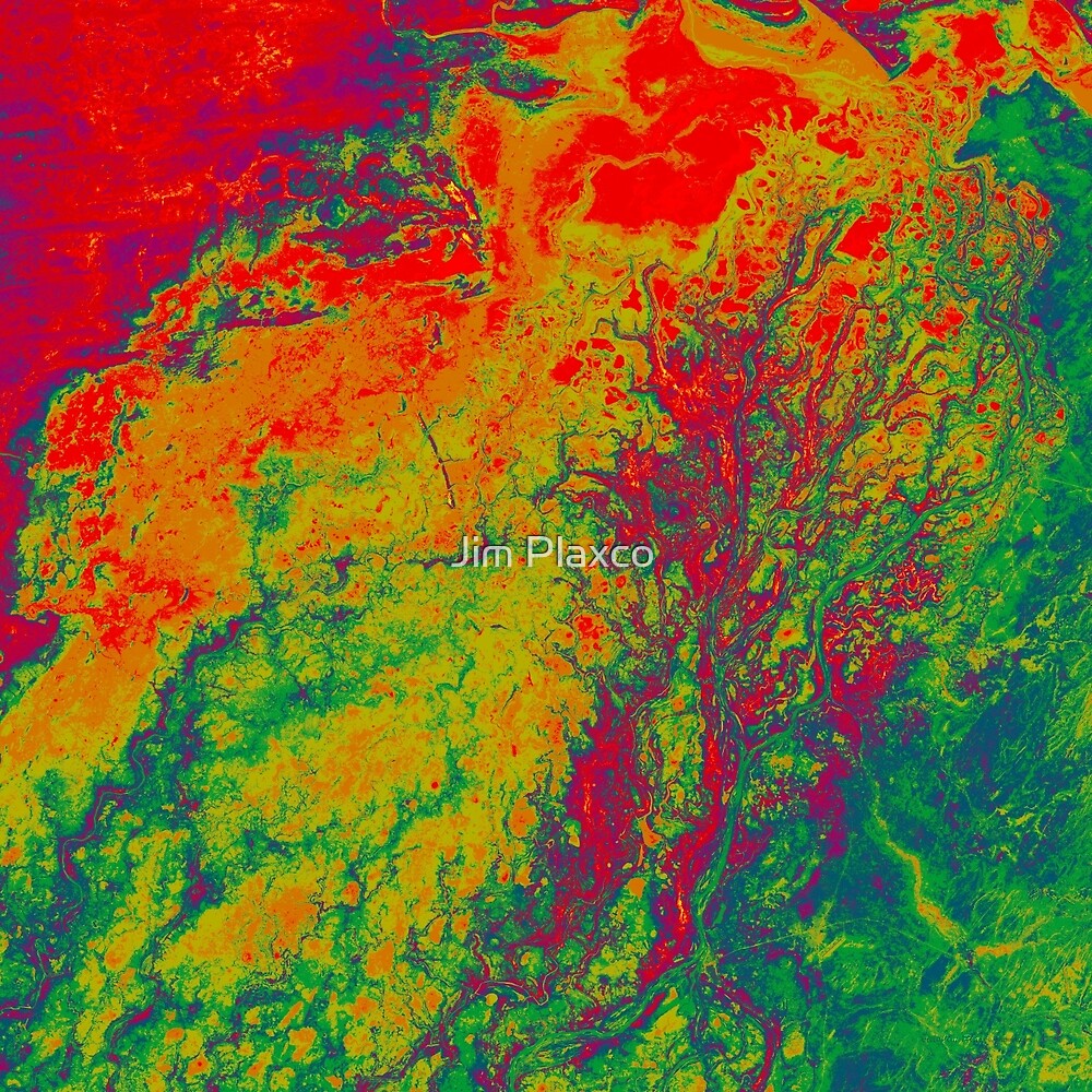 "Niger River Inland Delta Mali False Color Satellite Image" by Jim ...