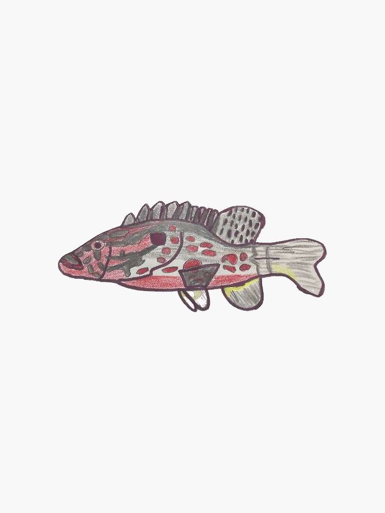 "Tiny Little mini trout" Sticker by RACHELDF | Redbubble