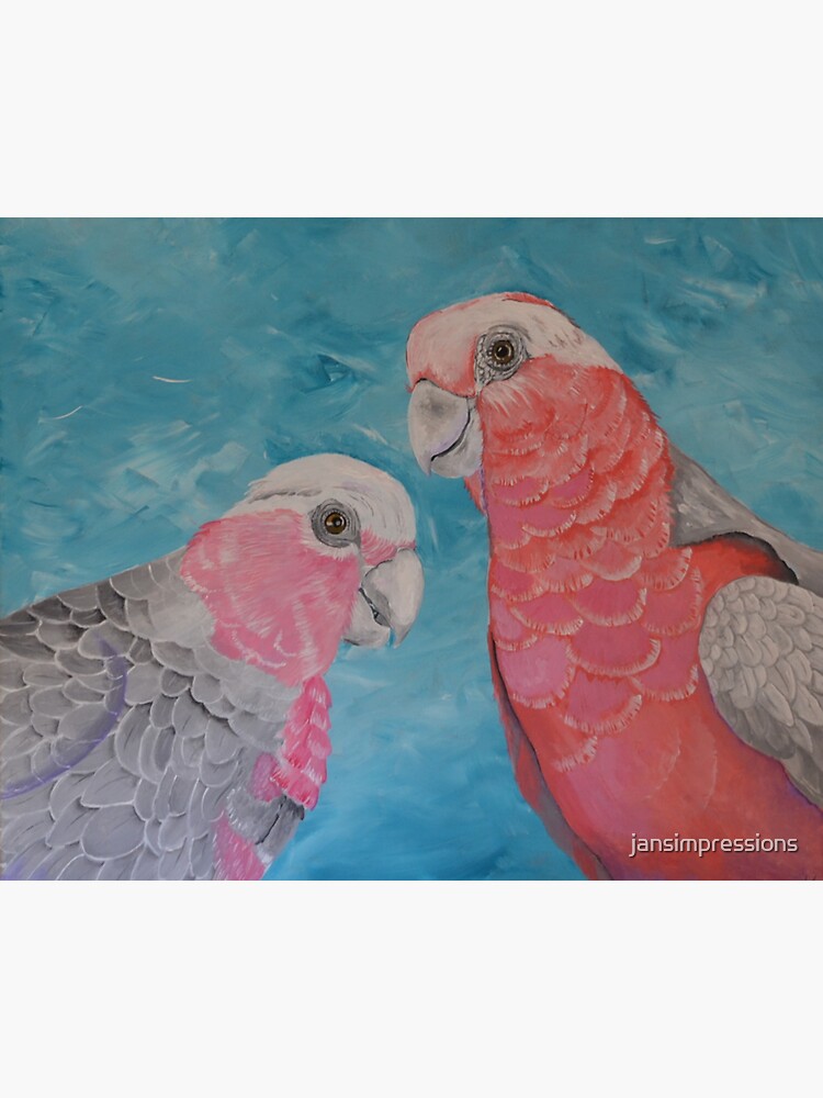 "TWO PINK GALAHS" Sticker for Sale by jansimpressions | Redbubble