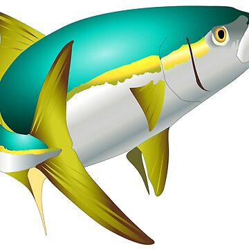 "Australian Kingfish" Sticker for Sale by Mary Tracy | Redbubble
