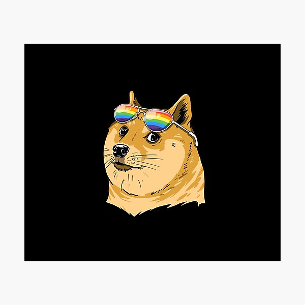 "LGBT Doge Coin - LBTQ Shiba Inu - Crypto Pride Flag Rainbow ...