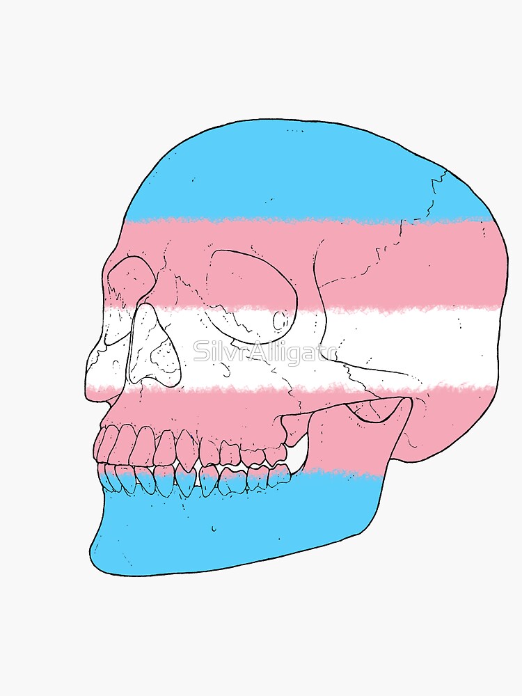 "Human Skull Trans Pride paint style" Sticker for Sale by T-VR | Redbubble