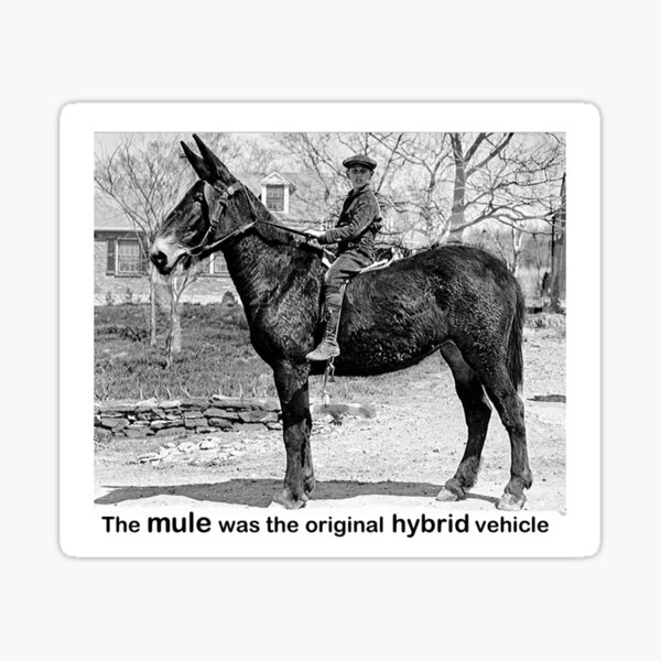 "ORIGINAL HYBRID" Sticker for Sale by coffeecountyjim | Redbubble