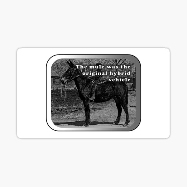 "ORIGINAL HYBRID" Sticker by coffeecountyjim | Redbubble