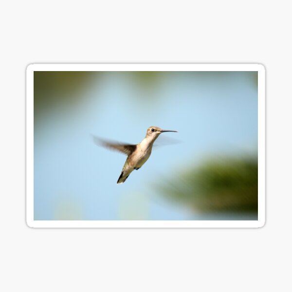 "Ruby" Sticker by BobHardy | Redbubble