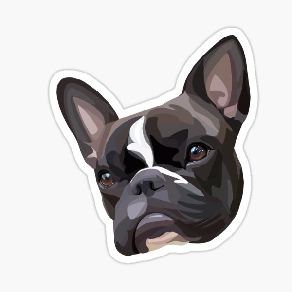 "Lilah the dog!" Sticker for Sale by WhoopDiWhoop | Redbubble