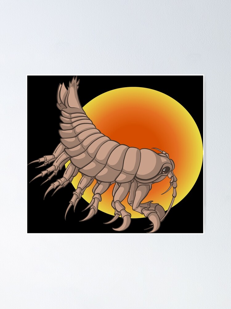 "Halloween Deep Sea Giant Isopod " Poster by Inklingsofgrace | Redbubble