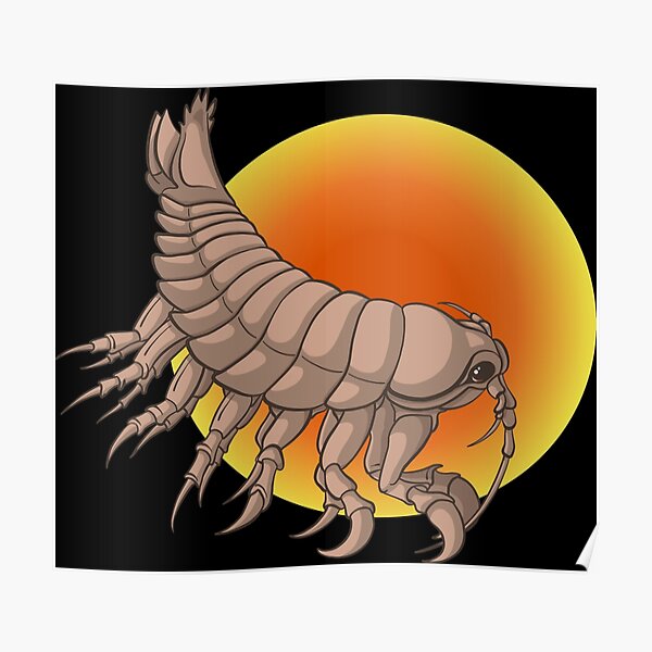 "Halloween Deep Sea Giant Isopod " Poster by Inklingsofgrace | Redbubble