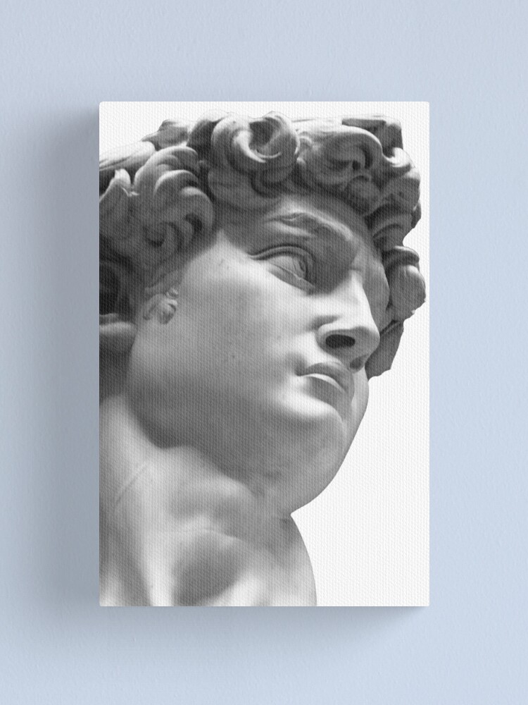 "David Statue, Aesthetic Room Decor, David, Rome statue, Greek ...