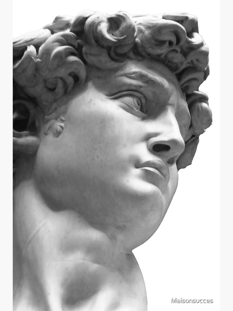 "David Statue, Aesthetic Room Decor, David, Rome statue, Greek ...